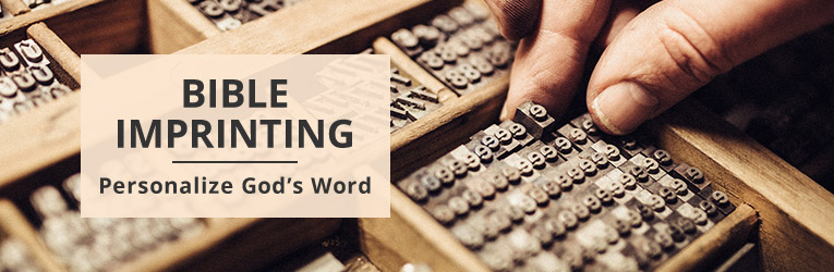 Still Looking? Here are some of our own Bible picks! - Christian book